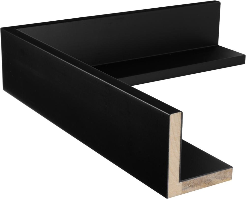 Gallery Float Custom Wholesale Picture Frames EZ Canvas gallery-float-custom-wholesale-picture-frames-ez-canvas